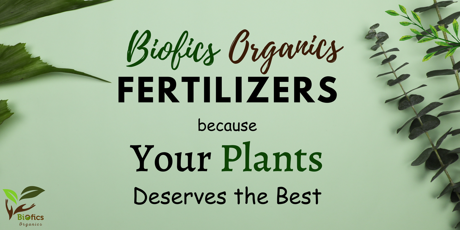 Biofics Fertilizers & Garden Care Products – Biofics Private Limited
