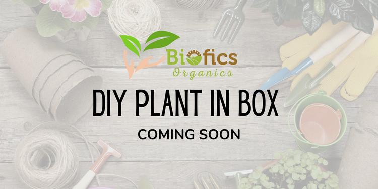 Biofics Fertilizers & Garden Care Products – Biofics Private Limited